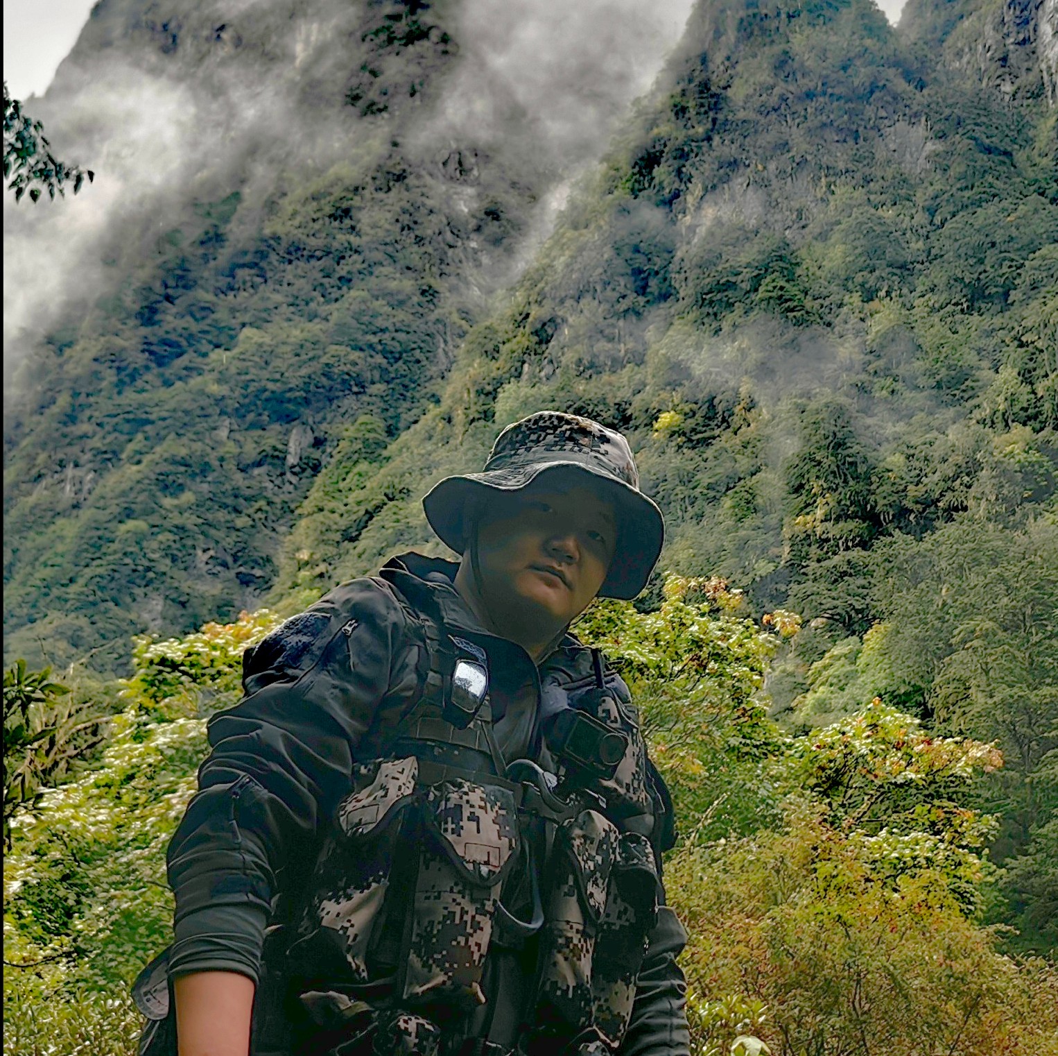 独自在森林里 