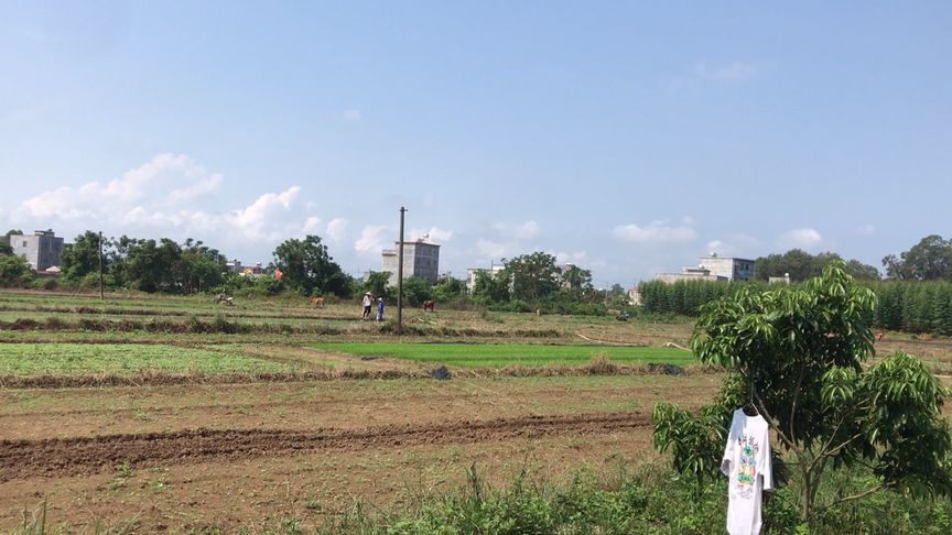 又到了准备抛秧,种稻谷的时候了