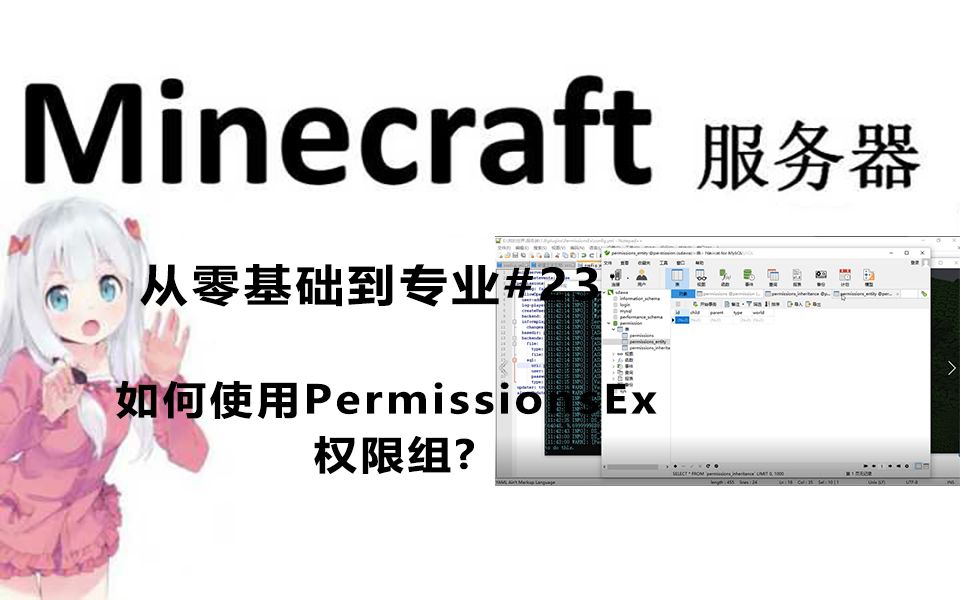 Minecraft服务器 从零基础到专业#23 如何使用PermissionsEx权限组?