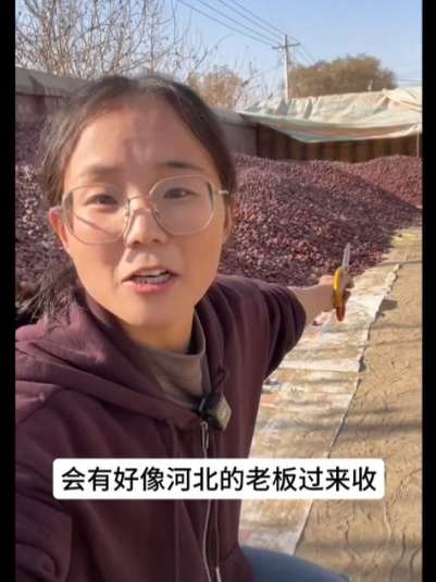 新疆和田红枣#和田大枣 #小邵推荐和田大枣