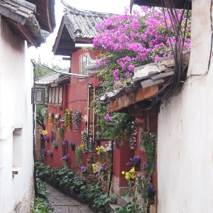 马可不是菠萝啊 