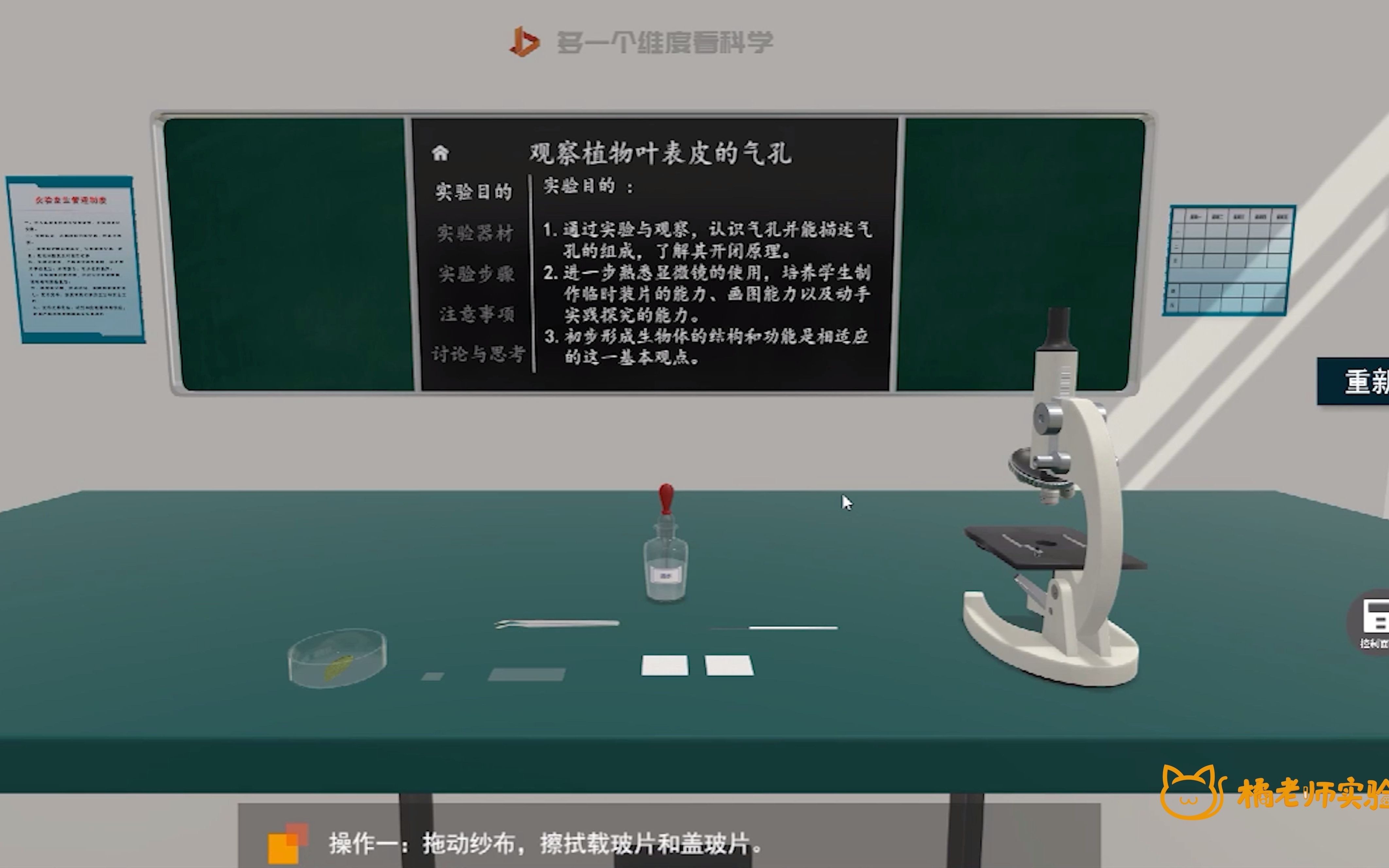 【橘老师实验室】观察植物叶表皮的气孔