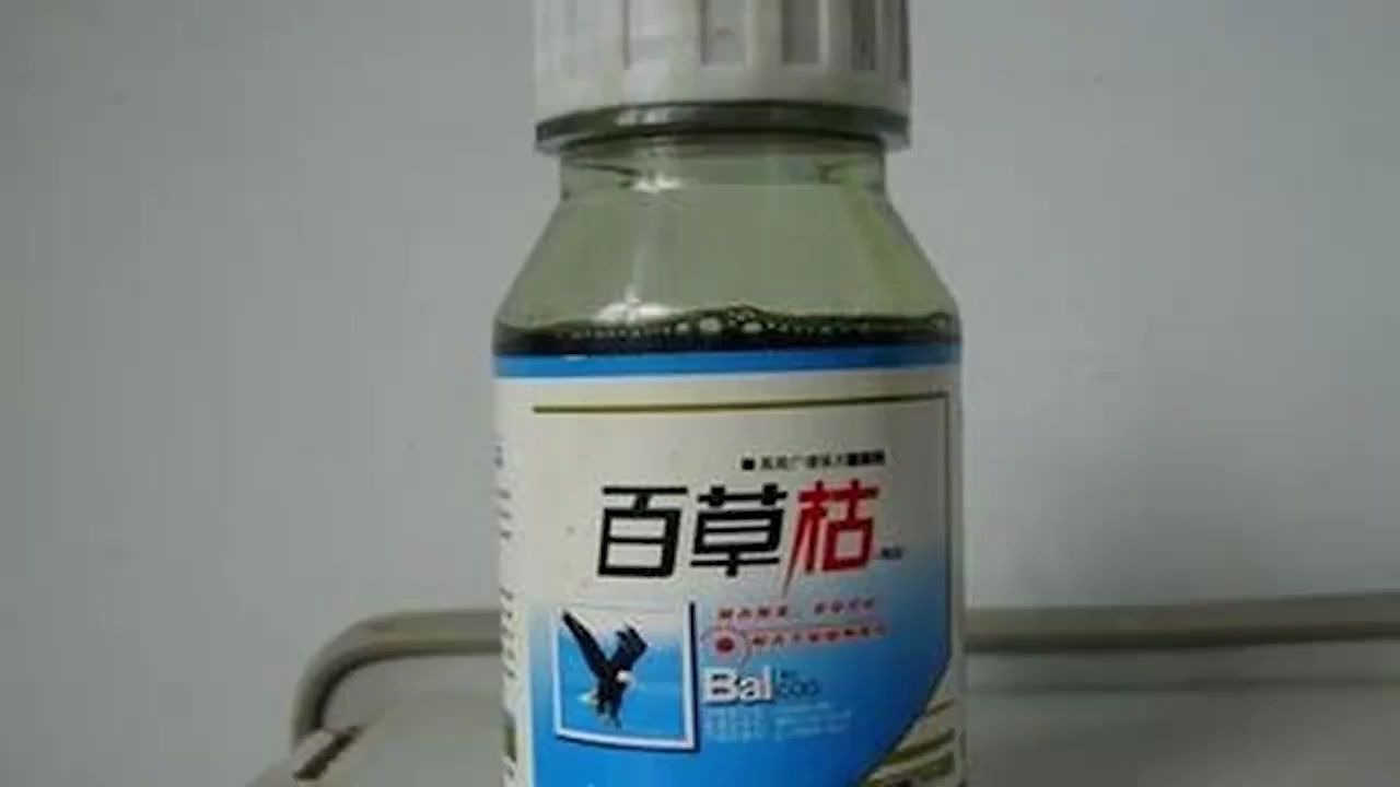 百草枯产品不得在境内销售,百草枯中毒死亡痛苦程度排前三