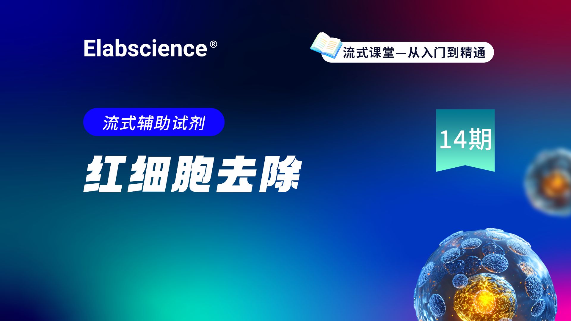 Elabscience_流式课堂第十四期-流式辅助试剂-红细胞去除