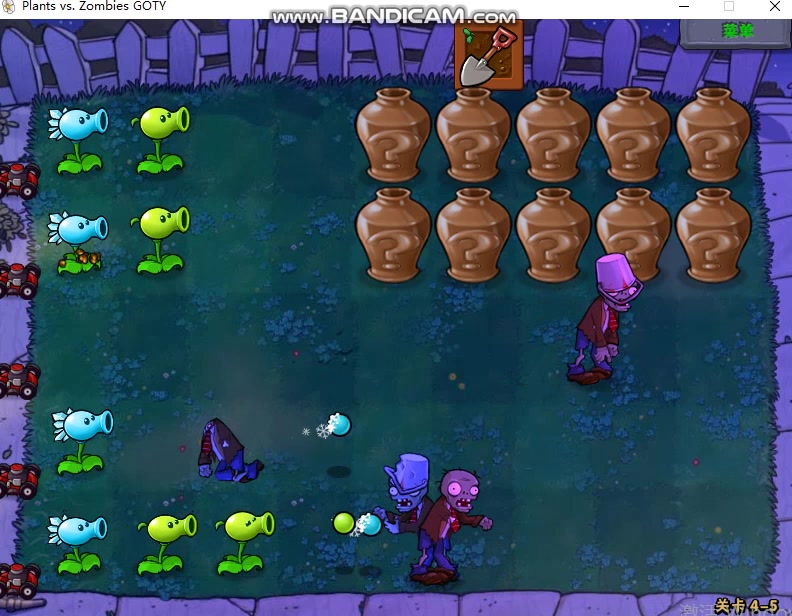 《植物大战僵尸》