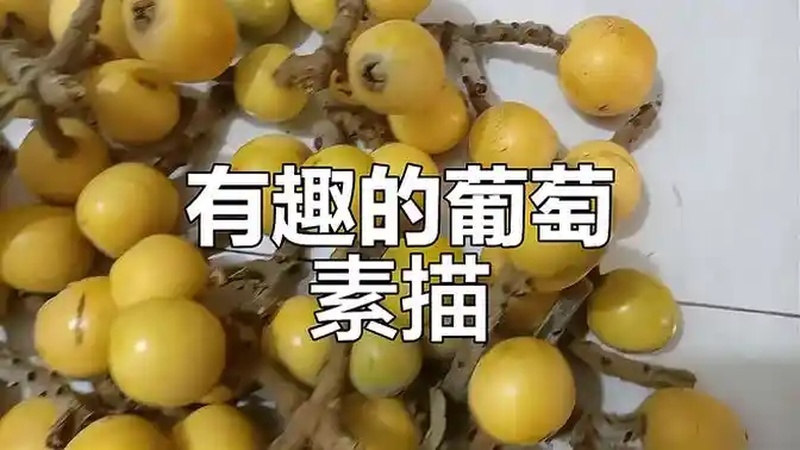 美术生日常:画葡萄也能这么有趣,试试这种素描技巧