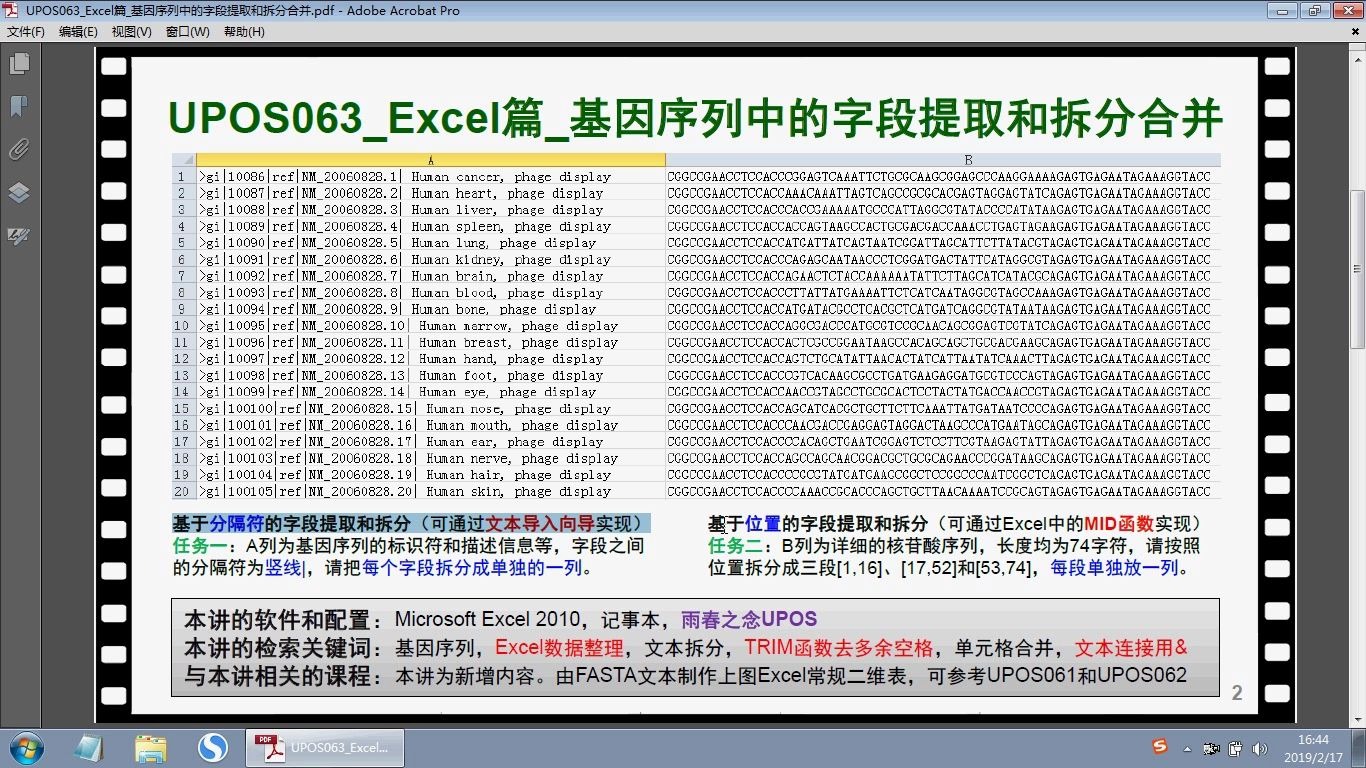 UPOS063_Excel篇_基因序列中的字段提取和拆分合并