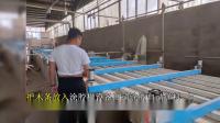 河北拼板机 实木直拼板视频教学