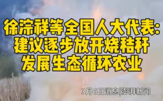 徐淙祥:逐步放开禁烧秸秆,发展生态循环农业。