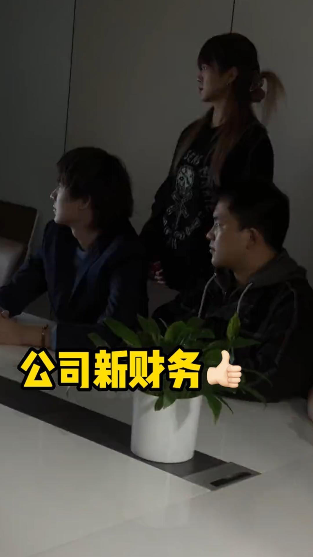 公司新财务做的炫酷年度财务报表,太燃了,感觉明年还能再亏一个亿