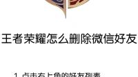 王者荣耀怎么删除微信好友