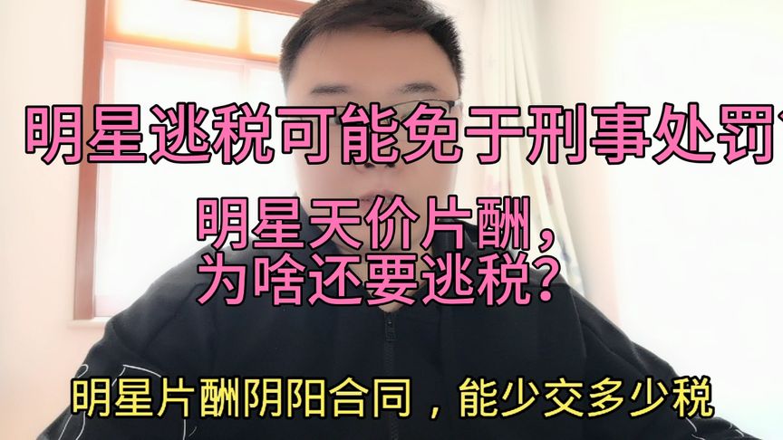 日薪208万元,还要逃税?明星可能免于刑事处罚,会计或能判刑?
