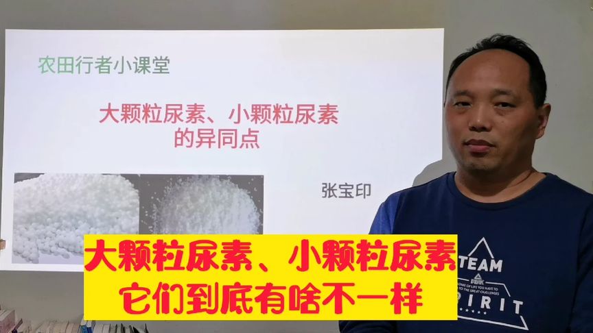 大颗粒尿素、小颗粒尿素,它们到底有啥不一样!