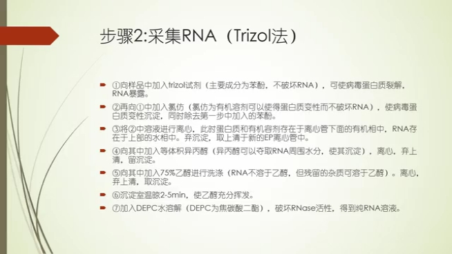 核酸检测方法及原理(生物作业,帮忙赞赞)