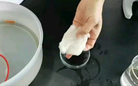 中考实验 观察小鱼尾鳍内血液的流动