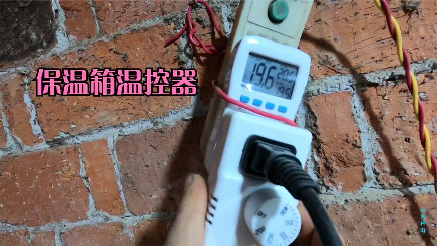 刚出生的小猪,保暖很关键,小伙给保温箱安装温控器