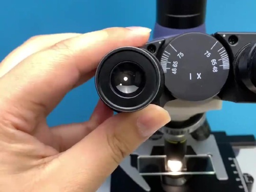 在显微镜的细致观察中发现的奇妙奥秘与寻常生活之间的巨大反差