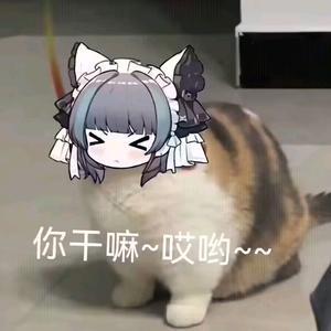 流酱耍造梦