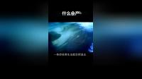 蚌为什么会产生珍珠