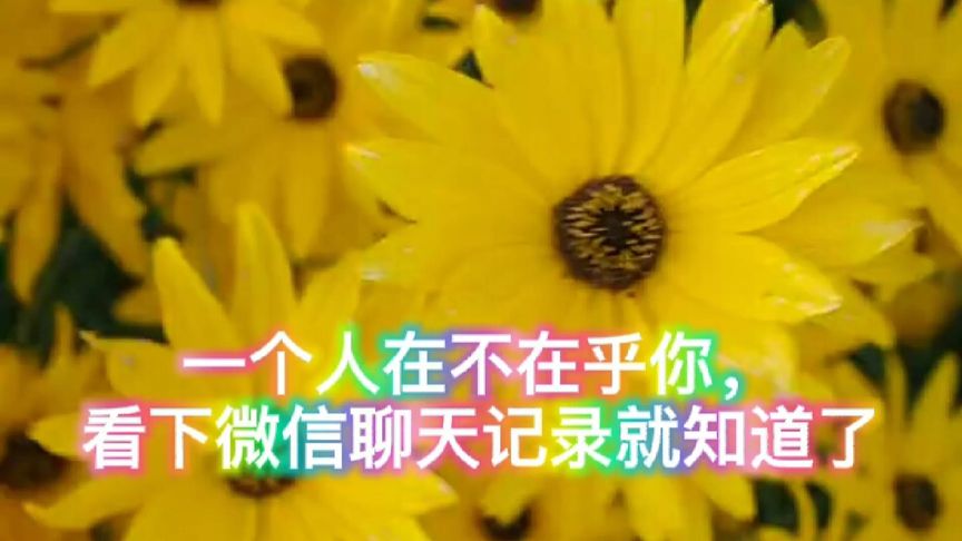 一个人在不在乎你，看下微信聊天记录就知道了