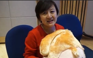 《完美世界3D》动画爆笑开播 声优爆料动画花絮曝光