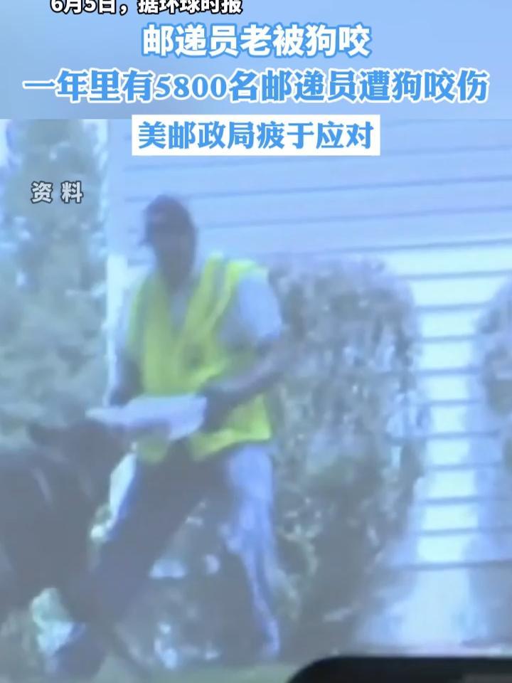 邮递员老被狗咬,一年里有5800名邮递员遭狗咬伤,美邮政局疲于应对