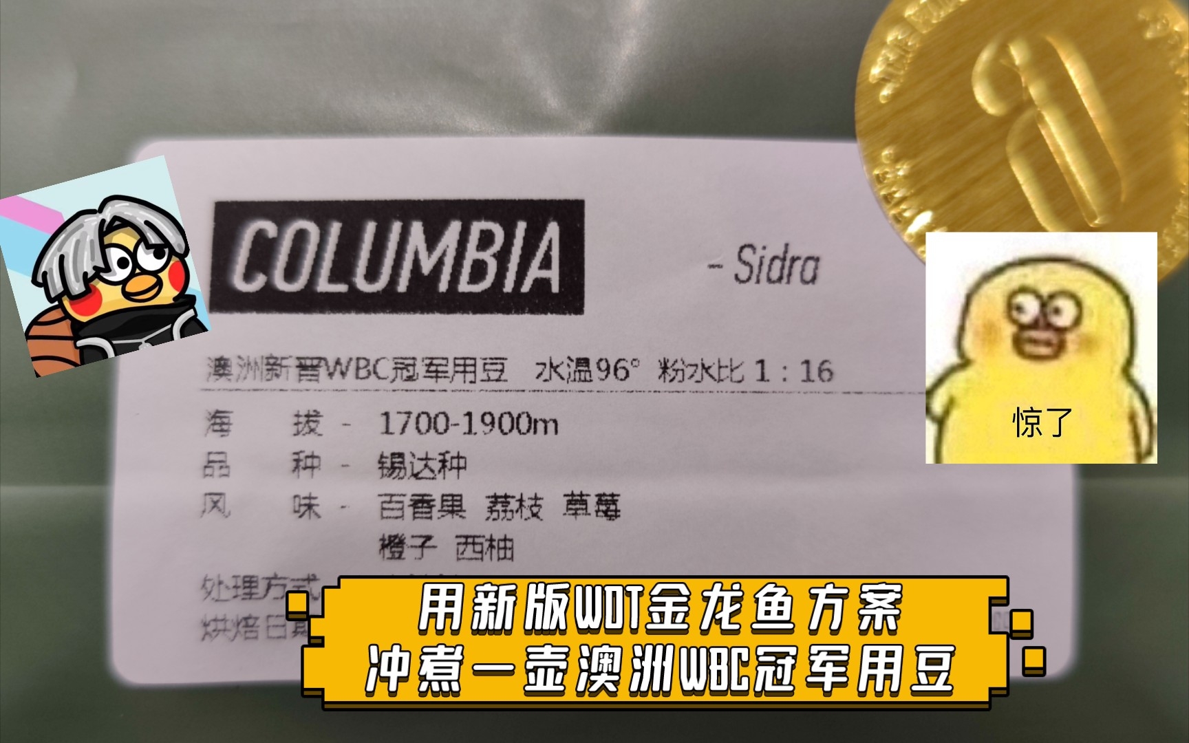 边闲聊边做个案例教学,用新版WDT金龙鱼方案冲煮一壶厦门名店的...