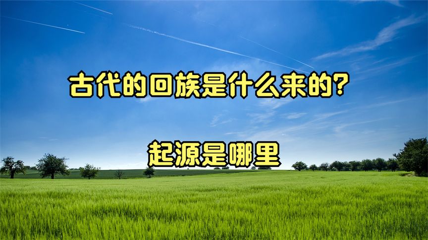 古代的回族是什么来的?起源是哪里
