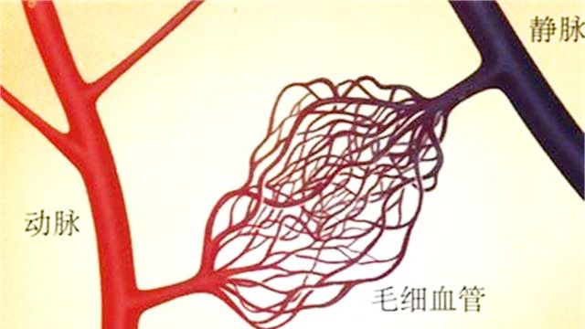 出现这几种情况,无疑是得了毛细血管扩张症,怎么治疗比较好?