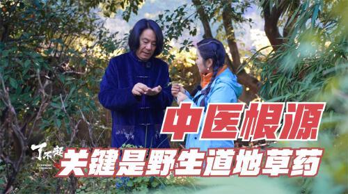 药大于医!57岁老中医坚持用野生草药,肿瘤治疗为何早期很关键