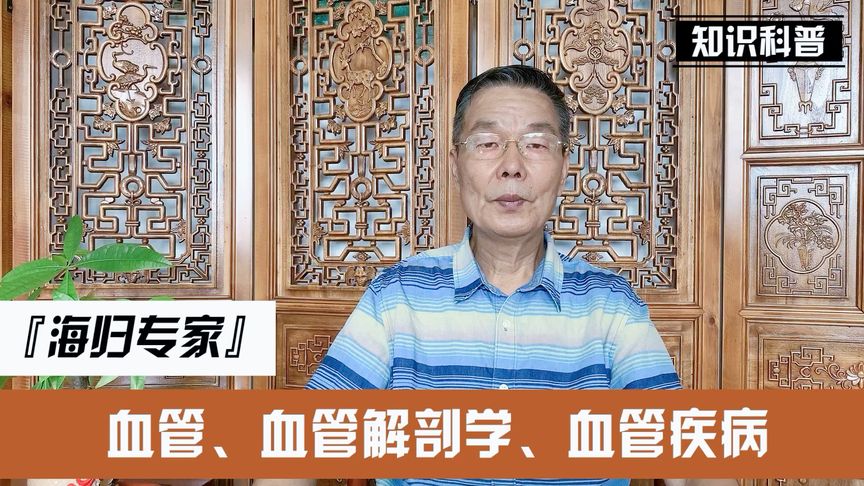 介绍血管、血管解剖学以及血管性疾病