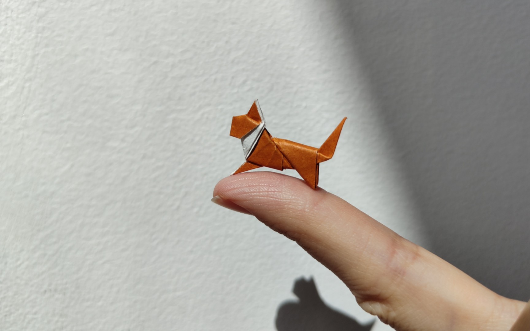 手工折纸——猫 快来一起折属于你的小可爱吧