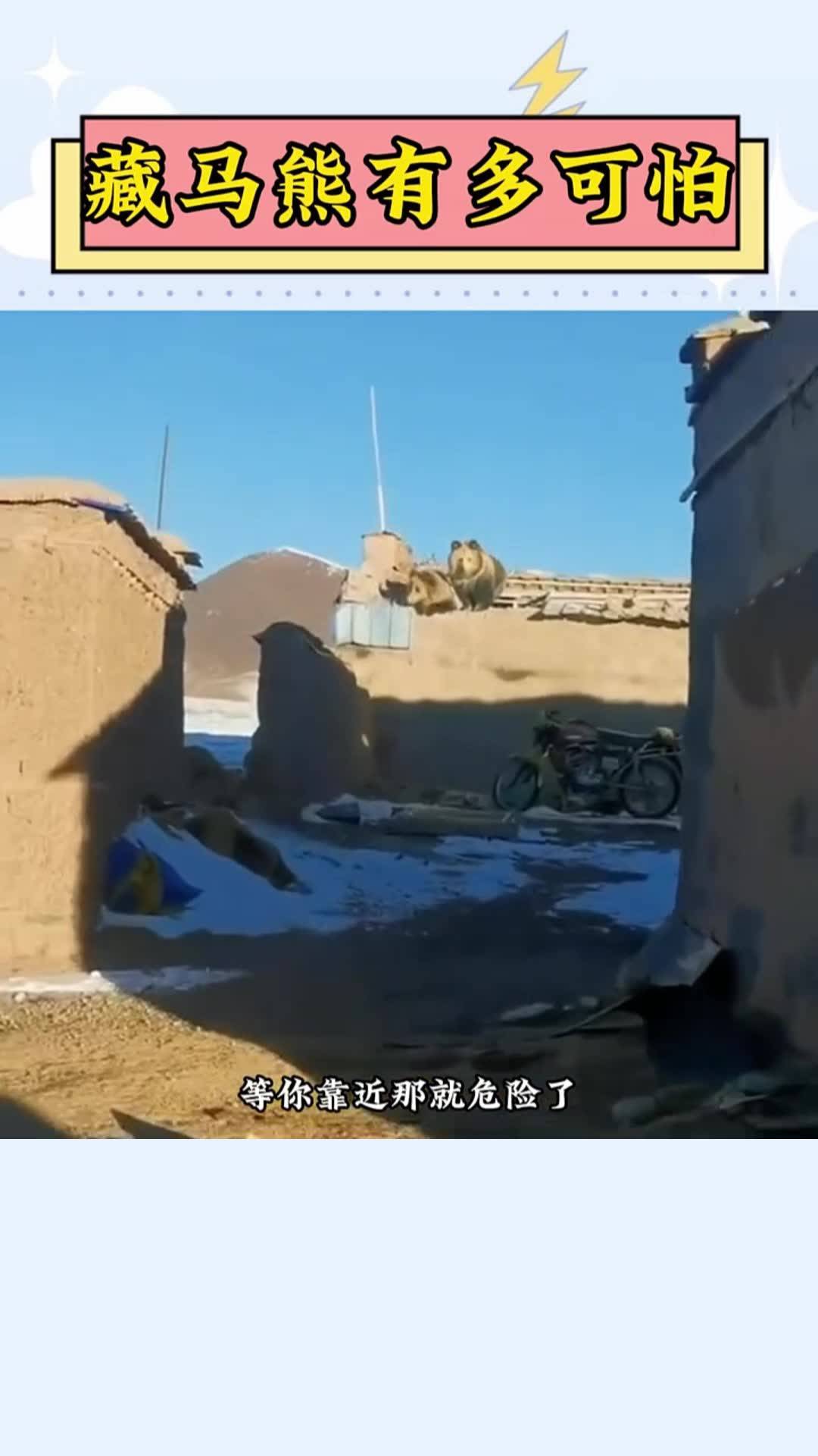 西藏门窗铆钉背后,竟是吃人猛兽的致命威胁!