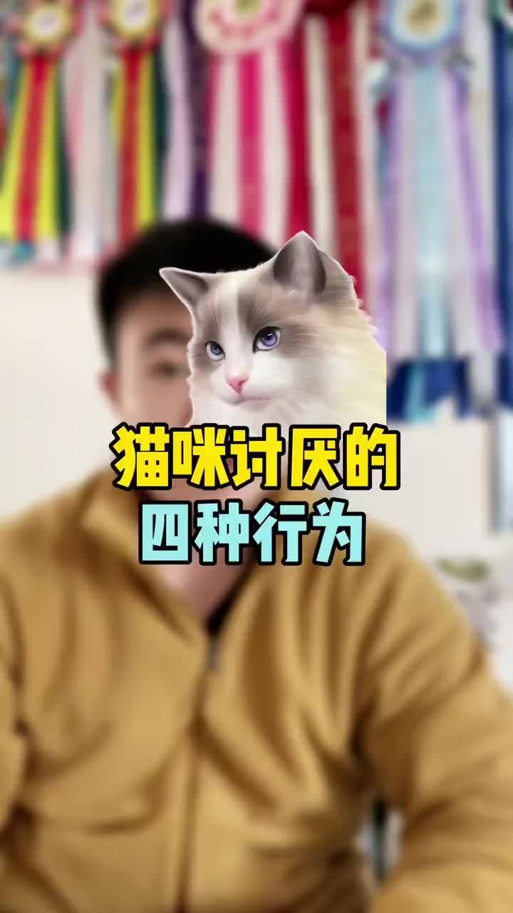 猫咪讨厌的四种行为