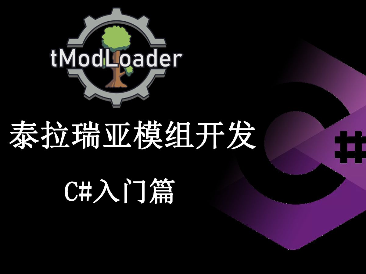 【泰拉瑞亚】泰拉瑞亚模组制作教程#02-C#入门