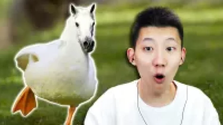 鲤鱼Ace解说 2019 第46集 动物融合模拟器,螃蟹和鹅会变成什么?