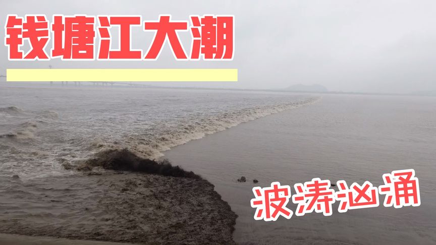 闻名世界的钱塘江大潮,壮观天下无!钱塘江潮迎三年来最大潮涌。