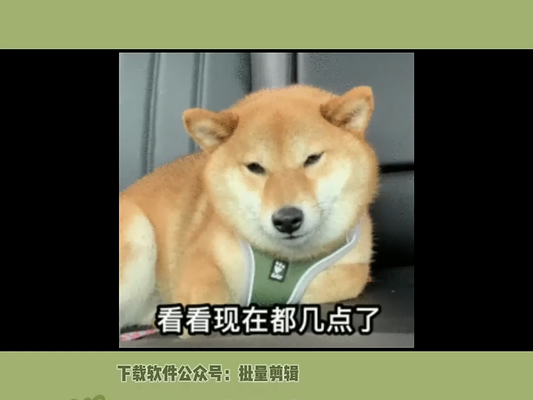 ...批量剪辑大师】全自动批量剪辑软件,可视化批量剪辑软件素材导入 06