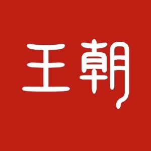 比亚迪王朝定州汇盛 