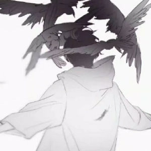 风枵 