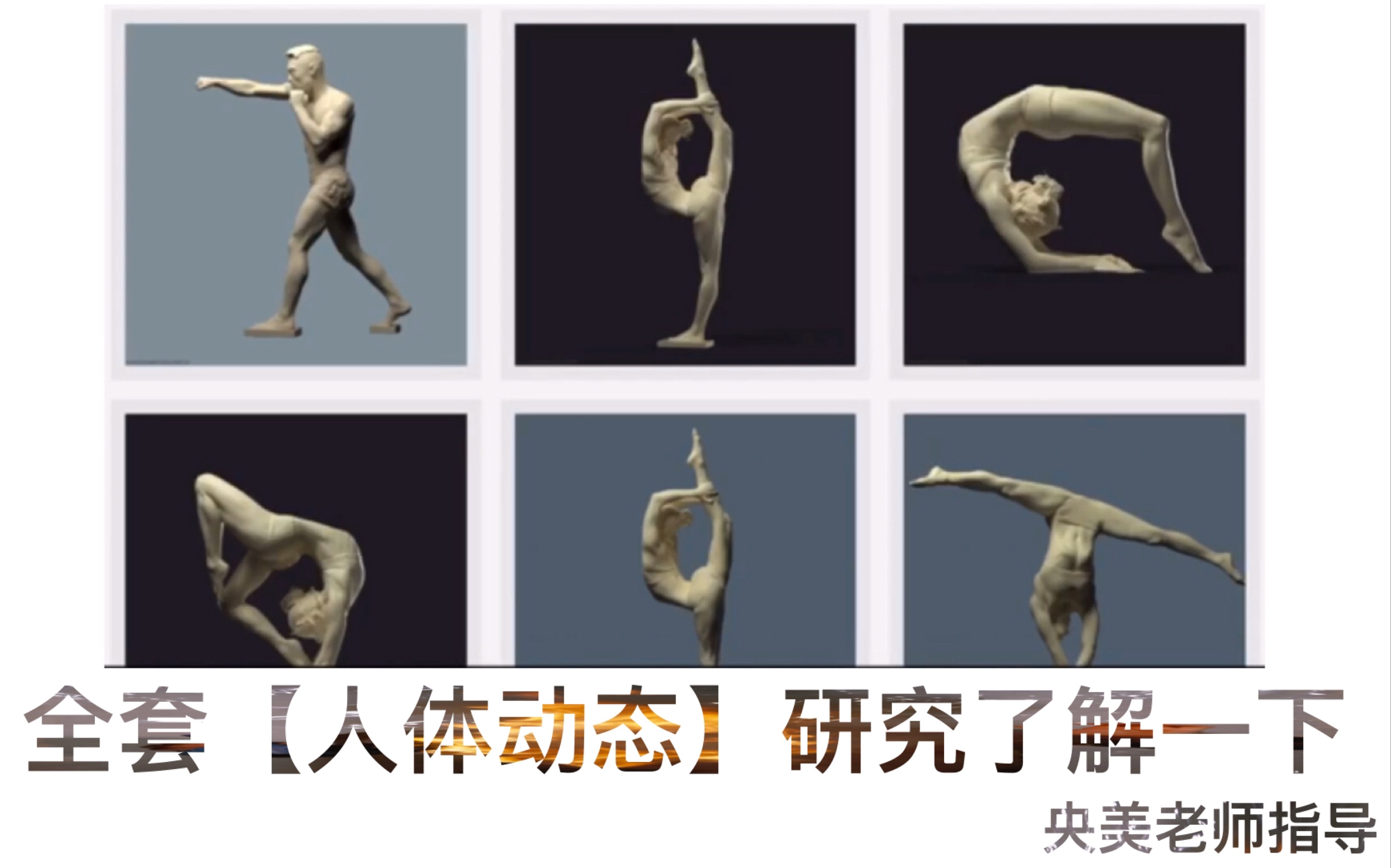 人体解剖研究,央美老师指导