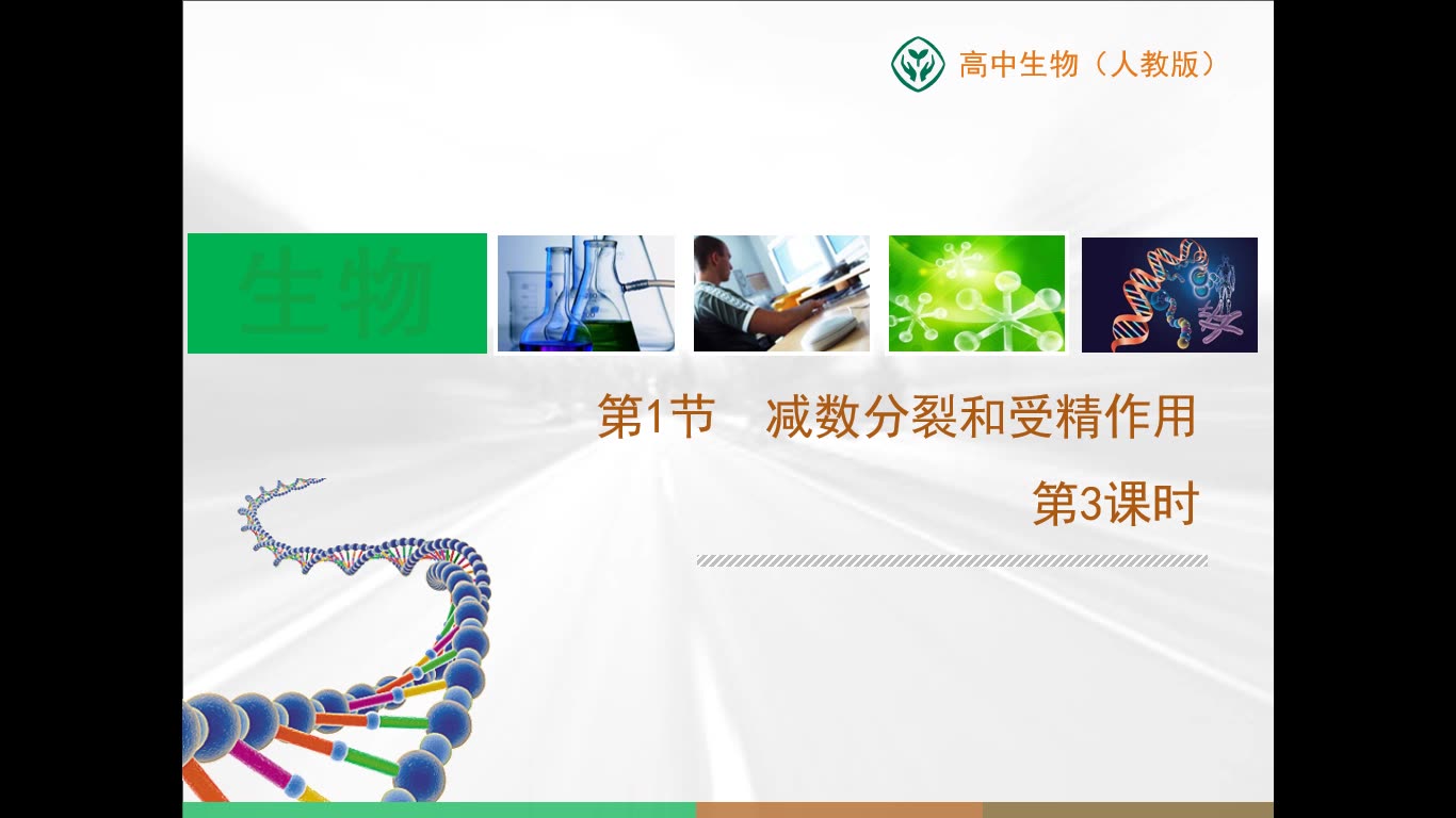 高中生物必修2 减数分裂与受精作用第三课时 受精作用