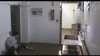 咒怨1高清