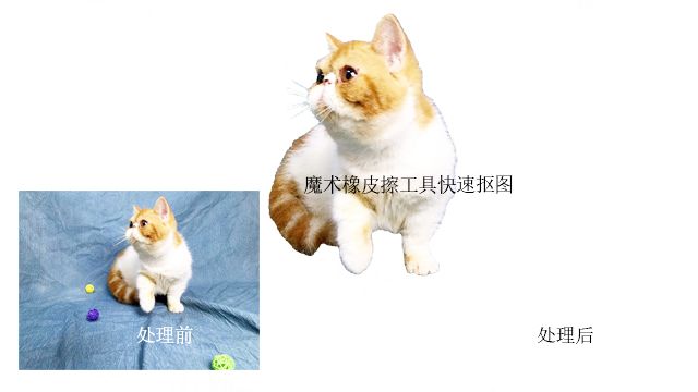 Photoshop:手把手教你如何用魔术橡皮擦工具快速抠图,太简单了