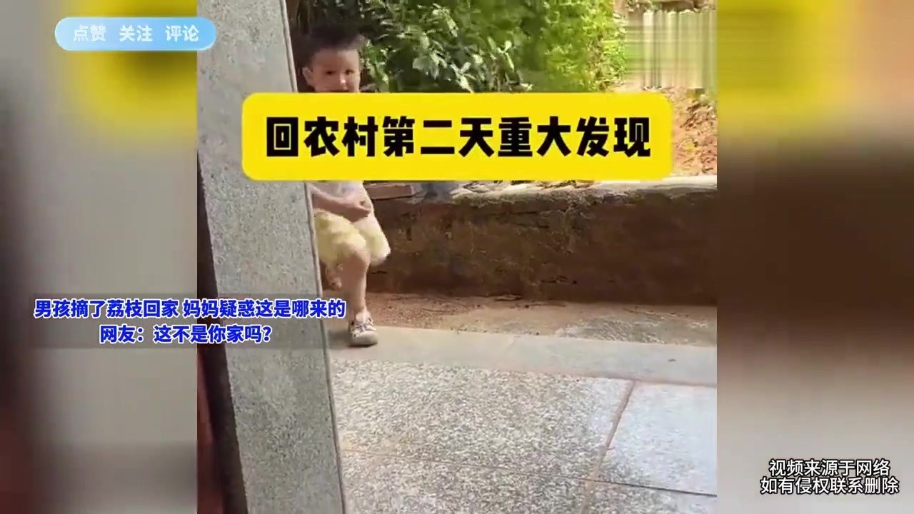男孩摘了荔枝回家妈妈疑惑这是哪来的,网友:这不是你家吗?