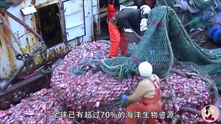 满仓3000吨,一年捕鱼1亿吨,海洋资源过度开发,专家:快没鱼了