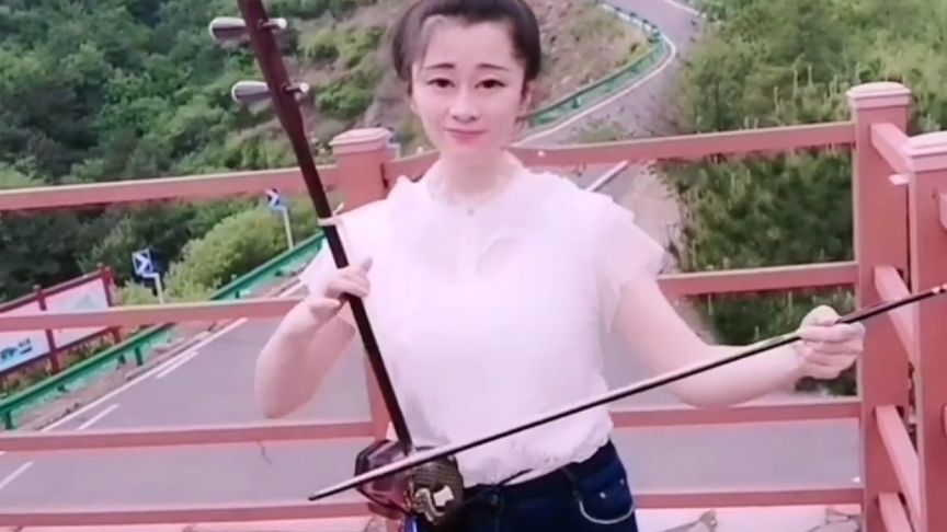 【挡不住的思念】二胡演奏