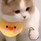 梦游三日 