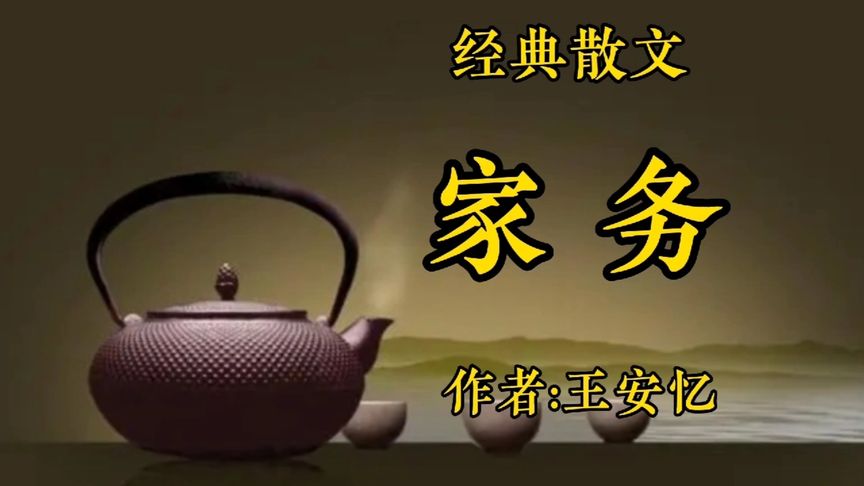 《家务》作者,王安忆