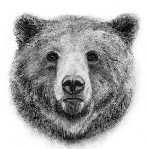 老张在后备箱中思考 